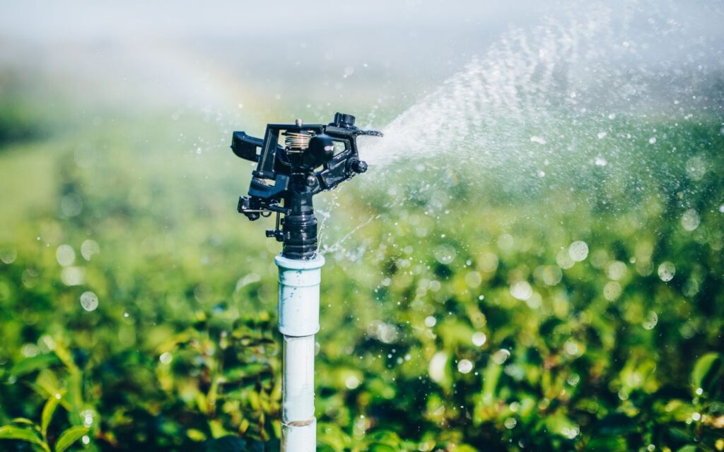 Irrigation Layout Around Walls Guide